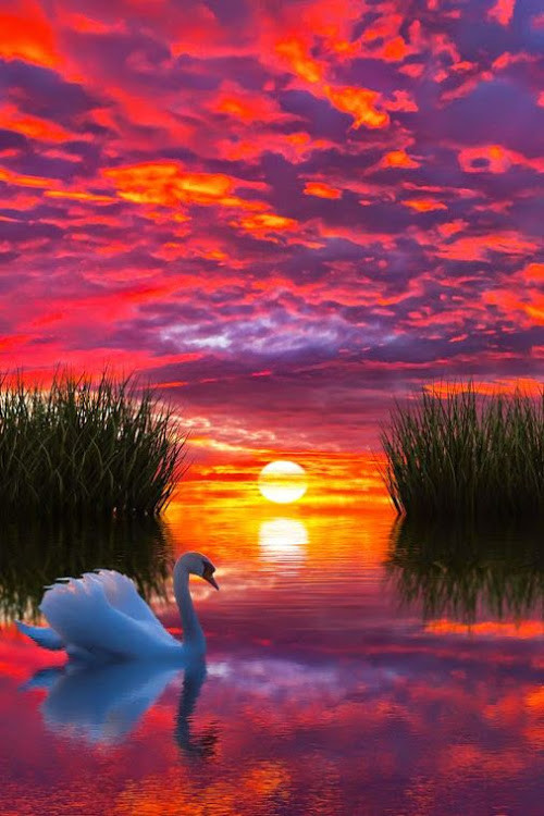 PAYSAGES SUBLIMES PAYSAGES SUBLIMES